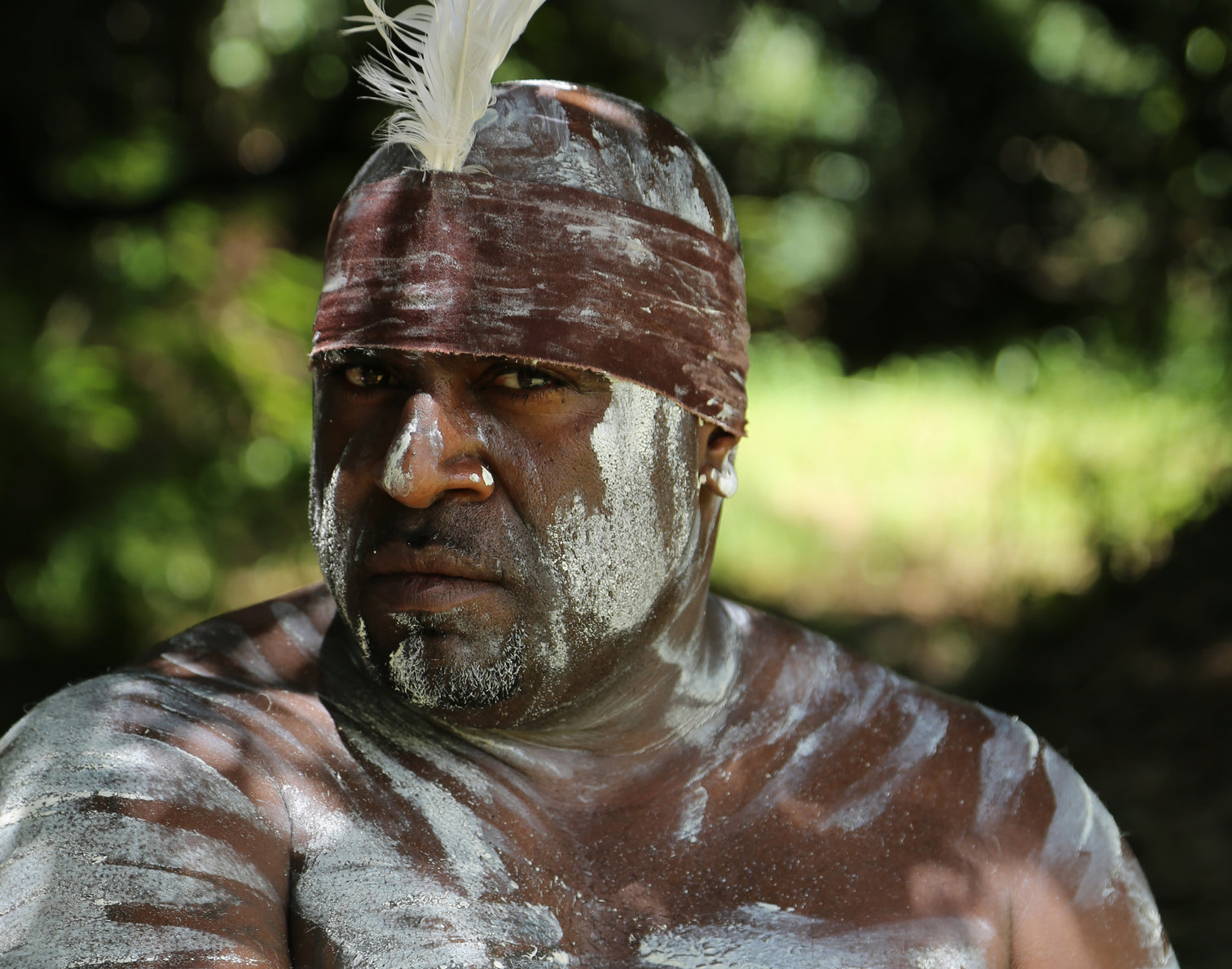 Woodfordia's Traditional Custodians – Jinibara Gallery